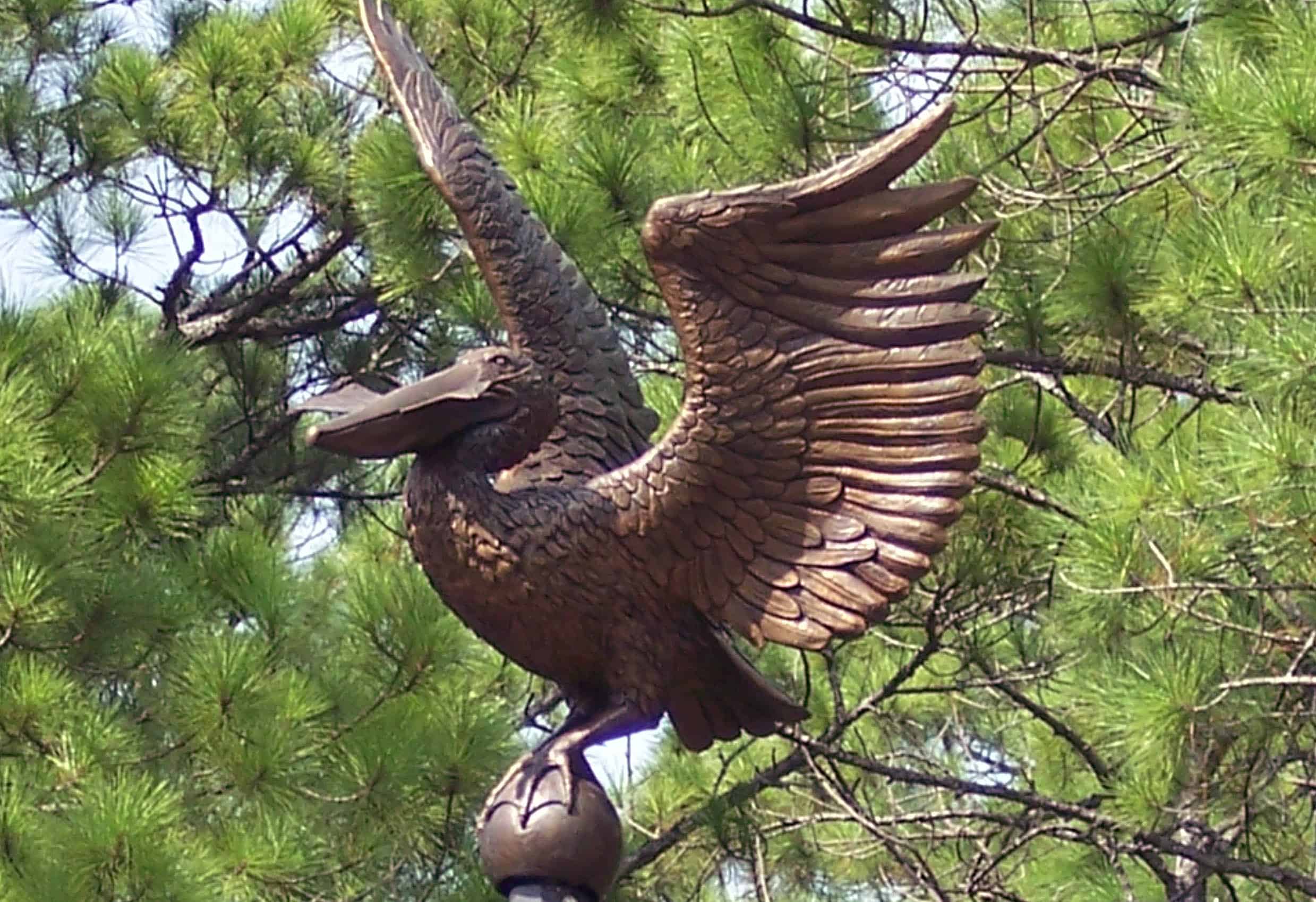 Pelican Sculpture - Robert Shure, Sculptor