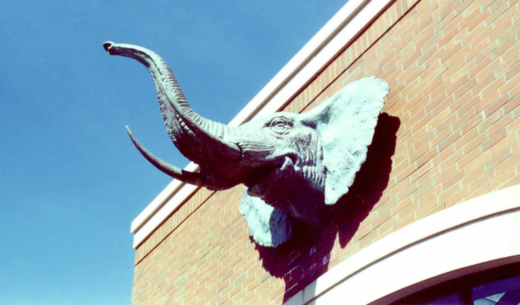 Tufts University Dowling Hall Elephant Sculpture - Robert Shure, Sculptor